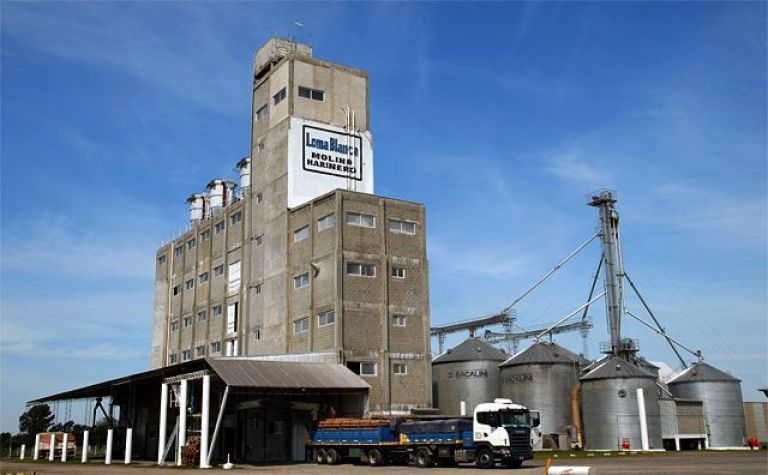 Buscan distribuidor representante para importante línea de harinas | El ...